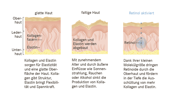 Retinol gegen Hautalterung: Hilft Vitamin A beim Anti-Aging ...