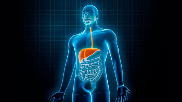 MARCOUMAR Tabletten B - Beipackzettel | Apotheken Umschau