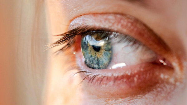 SYNTARIS Nasenspray - Beipackzettel | Apotheken Umschau