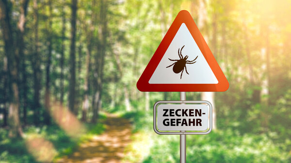 FSME-IMMUN 0,5ml Erwachsene Inj.-Susp.i.Fertigspr. - Beipackzettel ...