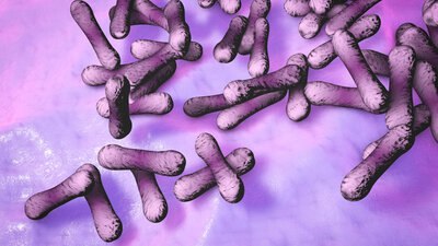 COVAXIS Injektionssuspension in einer Fertigspr. - Beipackzettel ...