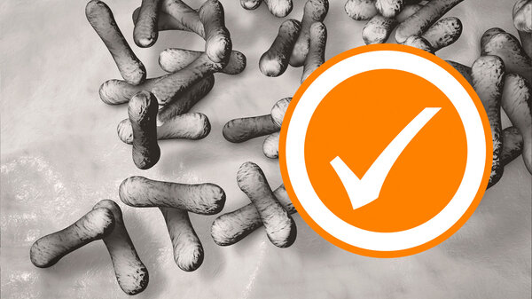 REPEVAX Injekt.-Susp.i.e.Fertigspritze - Beipackzettel | Apotheken Umschau