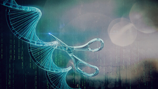 URSONORM 500 mg Filmtabletten - Beipackzettel | Apotheken Umschau