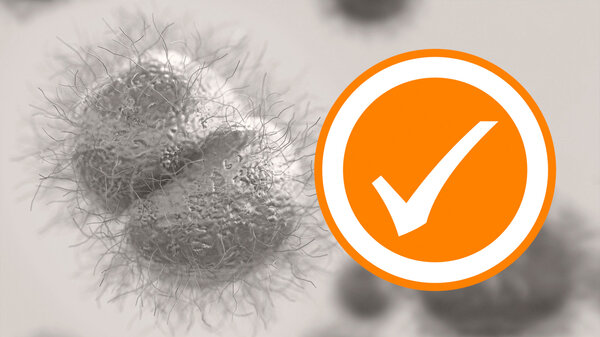 COLCHICIN Ysat 0,5 mg Tabletten - Beipackzettel | Apotheken Umschau