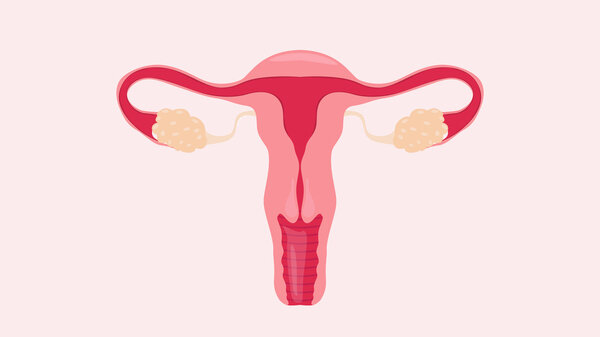 FEM7 Conti transdermale Pflaster - Beipackzettel | Apotheken Umschau