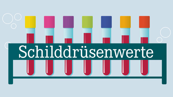 THYBON 20 Henning Tabletten - Beipackzettel | Apotheken Umschau