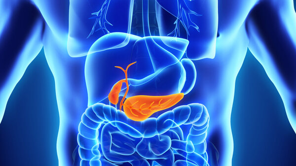 LORZAAR Protect 50 mg Filmtabletten - Beipackzettel | Apotheken Umschau