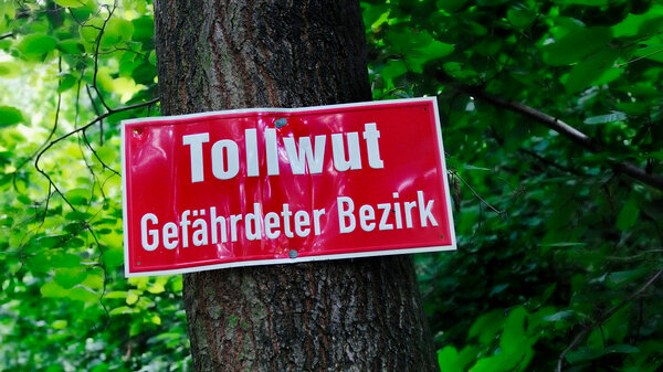 DYTIDE H 50 mg/25 mg Tabletten - Beipackzettel | Apotheken Umschau