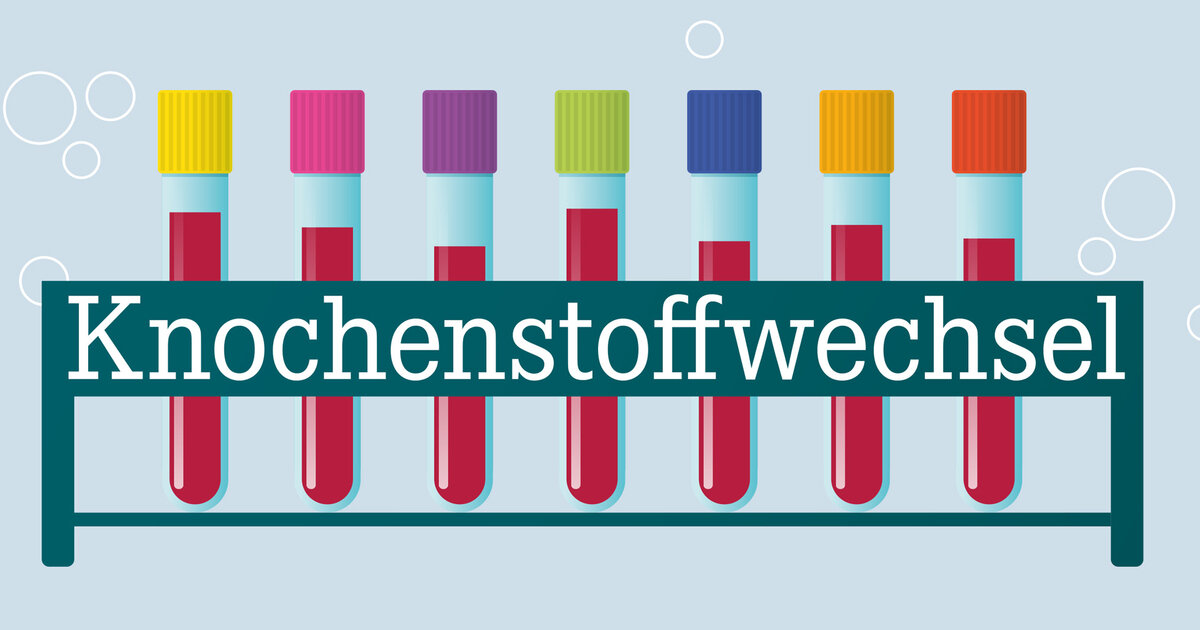 Blutwerte zum Knochenstoffwechsel | Apotheken Umschau
