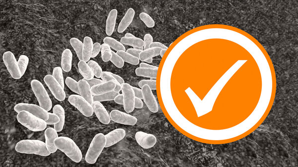 NACOM 100 mg/25 mg Tabletten - Beipackzettel | Apotheken Umschau