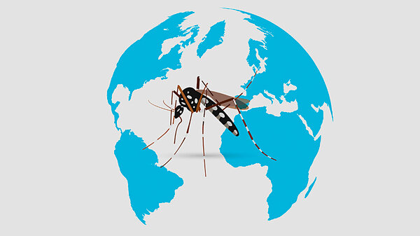 ORAYCEA 40mg Hartkapseln m.veränd.Wirkst.-Frs. - Beipackzettel ...