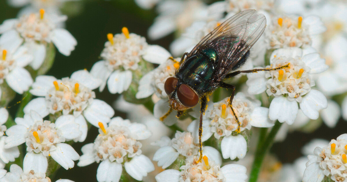 Hailey brown farm boobs the agency bided time for Otoha to