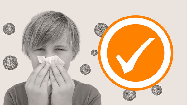 RHINEX Nasenspray + Naphazolin 0,05 - Beipackzettel | Apotheken Umschau