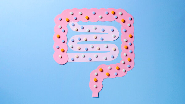 Darmgesundheit: Wichtige Tipps für einen gesunden Enddarm | Apotheken ...