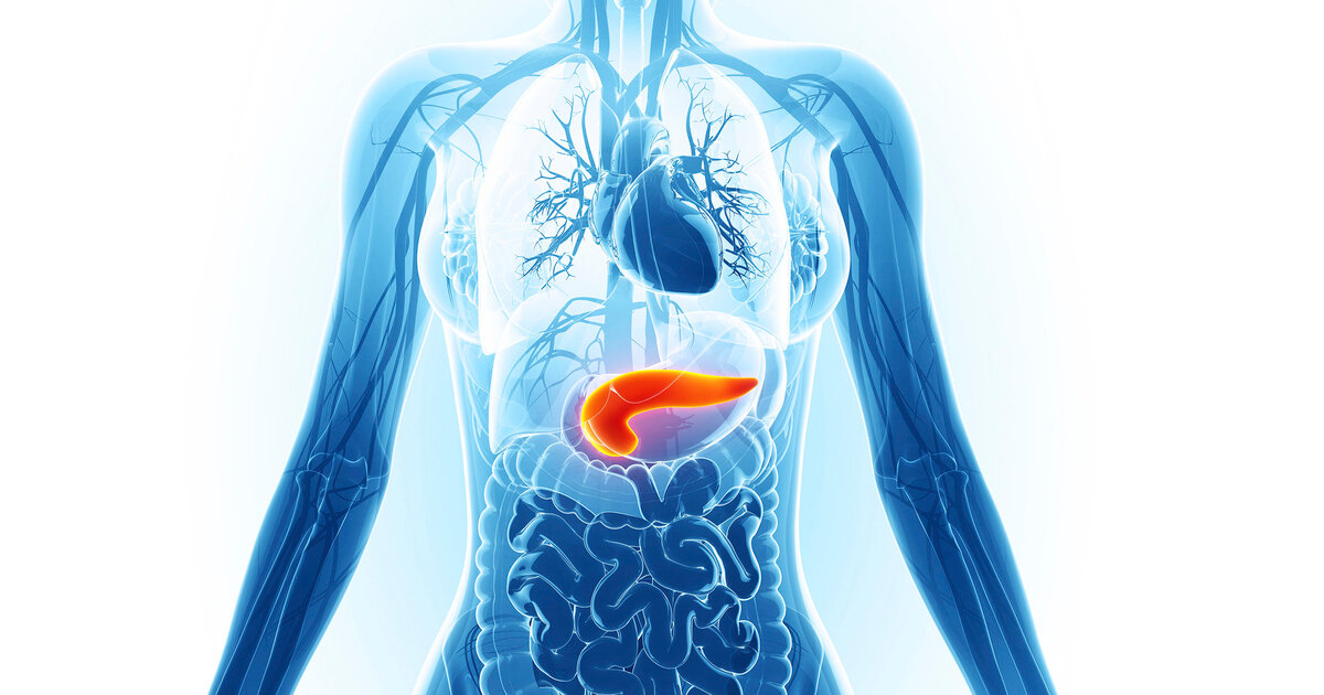 Alpha-Zellen | Apotheken Umschau