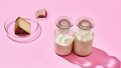 L-THYROXIN AL 50 μg Tabletten - Beipackzettel | Apotheken Umschau