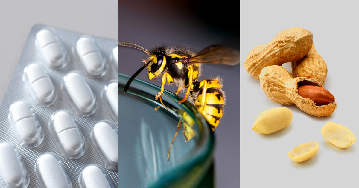 Anaphylaktischer Schock: Was tun bei schwerer allergischer Reaktion ...