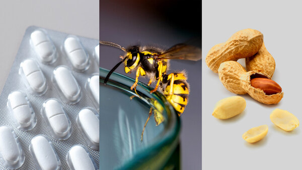 Allergie: Notfall-Nasenspray bei anaphylaktischem Schock zugelassen ...