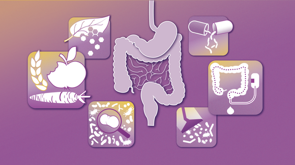 Probiotika bei Kindern: Wann sie helfen und wann sie sinnlos sind ...