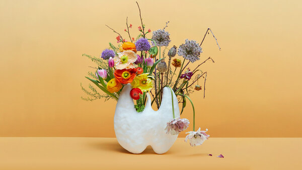 PROPYCIL 50 mg Tabletten - Beipackzettel | Apotheken Umschau