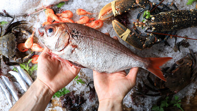 Die Körperfülle richtig messen:BMI, Taillenumfang, Taille-Hüft ...
