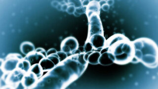 Was kann man gegen Soor tun? | Apotheken Umschau