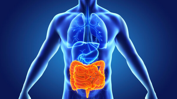 Sind Darmpolypen immer gefährlich? | Apotheken Umschau