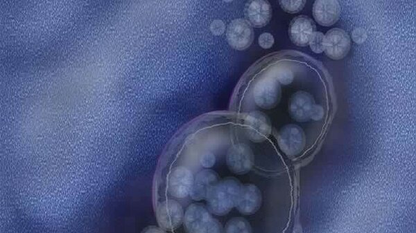 Noroviren: hochansteckend und meldepflichtig | Apotheken Umschau