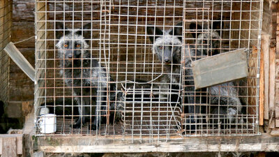 ACIC 400 Tabletten - Beipackzettel | Apotheken Umschau