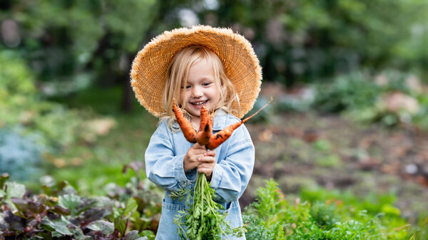CORDES VAS Creme - Beipackzettel | Apotheken Umschau