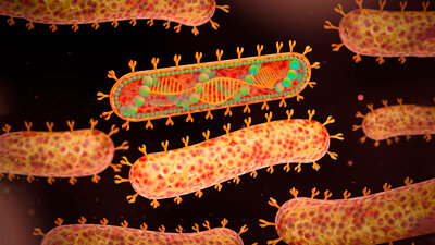 SYMTUZA 800 mg/150 mg/200 mg/10 mg Filmtabletten - Beipackzettel ...