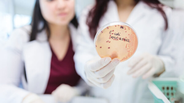 INFECTOOPTICEF Saft 100 mg/5 ml Gran.z.Sus.-Herst. - Beipackzettel ...