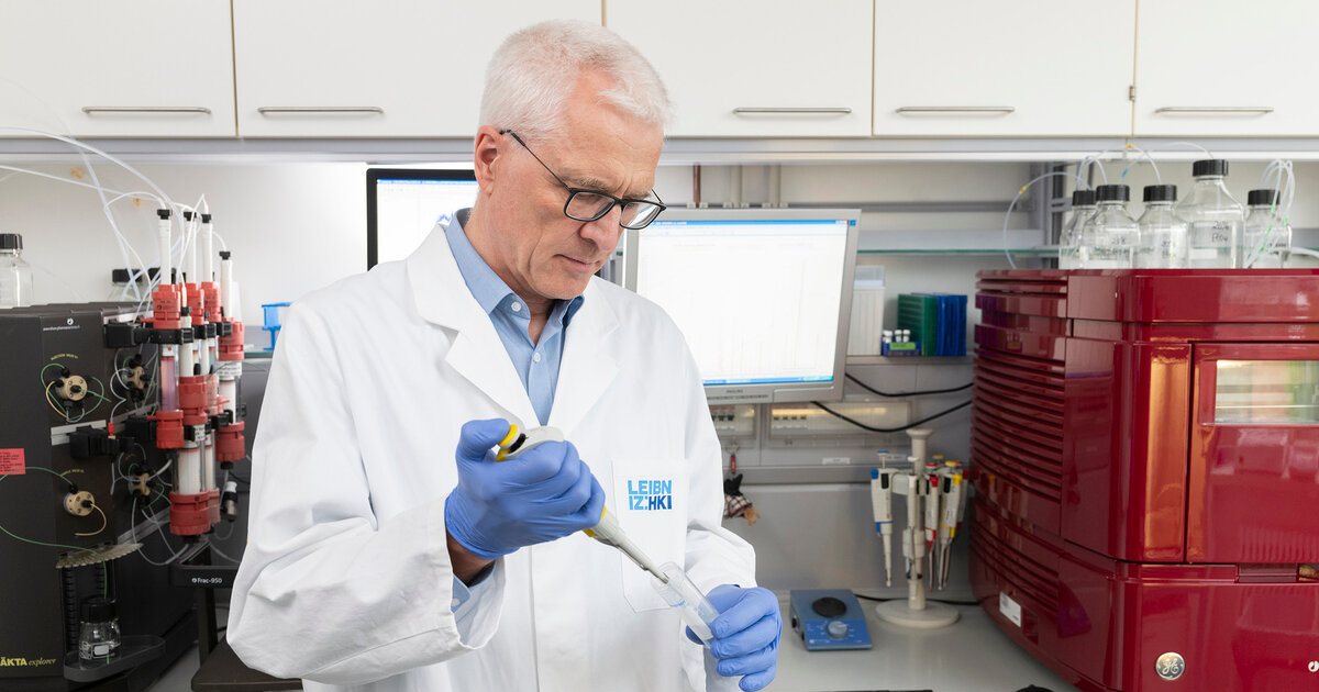 Pilze sind Angreifer mit Tarnumhang – was sie so gefährlich macht ...