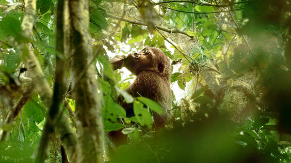 QUENSYL 200 mg Filmtabletten - Beipackzettel | Apotheken Umschau