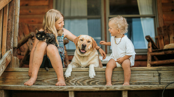 ALENDRON Aristo 1x wöchentlich 70 mg Tabletten - Beipackzettel ...