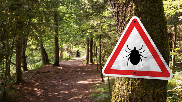 FSME-IMMUN 0,5ml Erwachsene Inj.-Susp.i.Fertigspr. - Beipackzettel ...